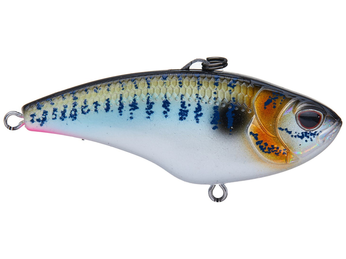 Nomad Design Swimtrex Max Lipless Crankbait – Tackle Addict